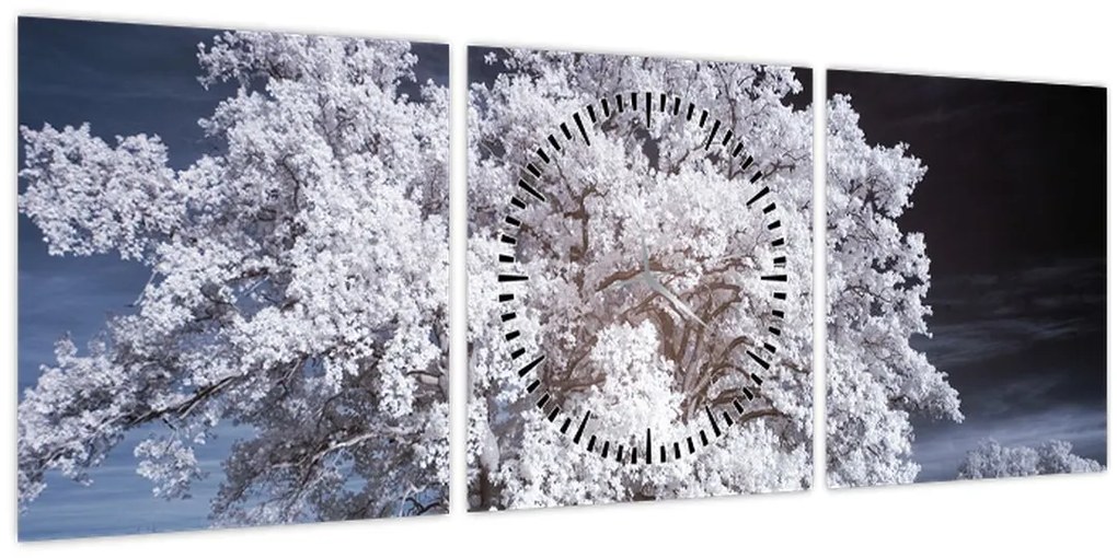 Obraz - Sněhobílý strom (s hodinami) (90x30 cm)
