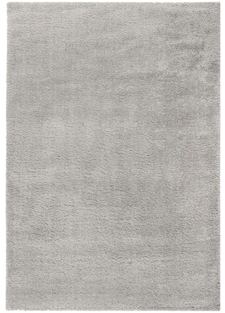 Flair Rugs, Kusový koberec Shaggy Teddy Grey, 120x170, šedá, ložnice