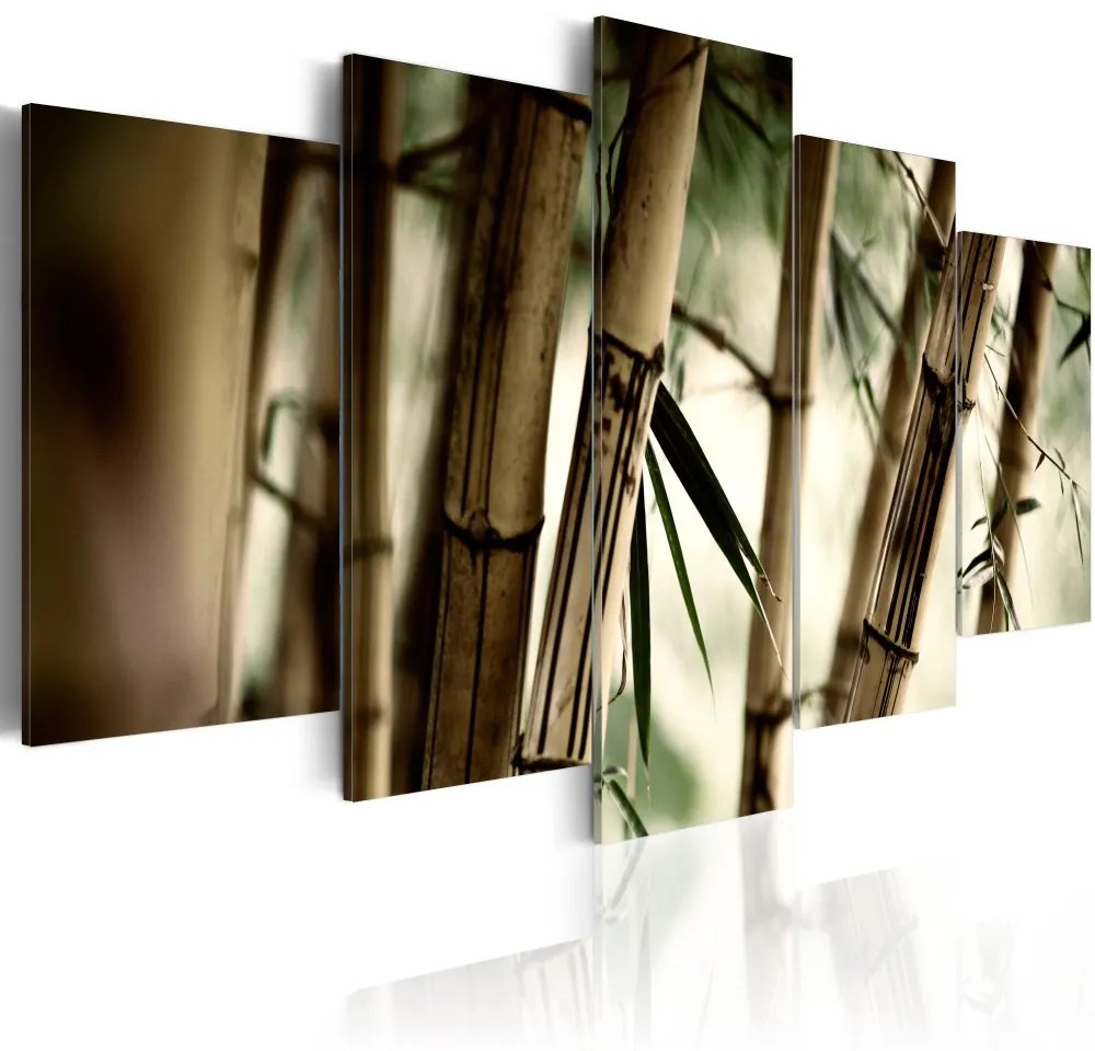 Obraz na plátně Bimago - Bambusový les 100x50 cm