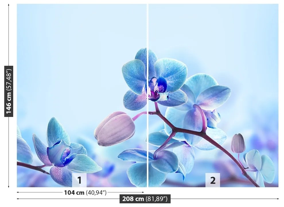 Fototapeta Tropické orchideje 104x70