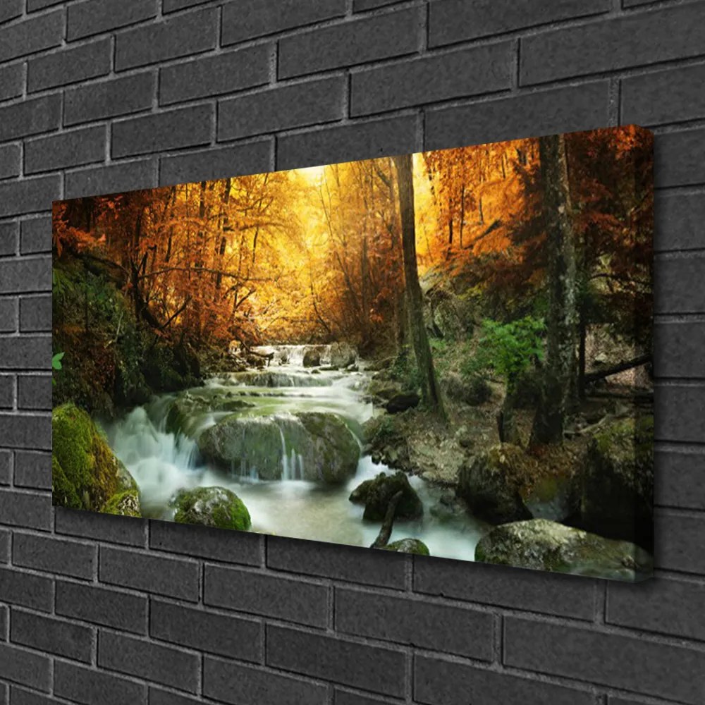 Obraz na plátně Vodopád Příroda Les Podzim 100x50 cm