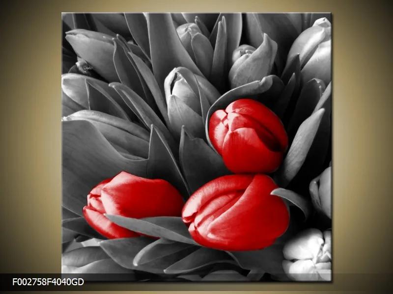 Obraz tří červených tulipánů  (), 40 dalších rozměrů