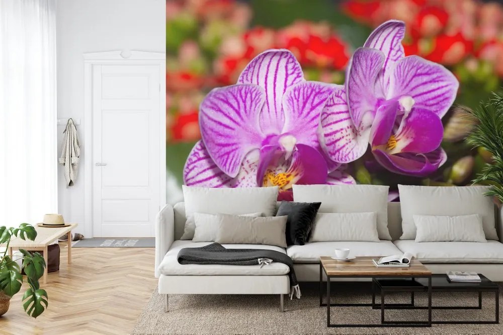 Fototapeta Optická Orchidea 3D Samolepící tapety 208x146