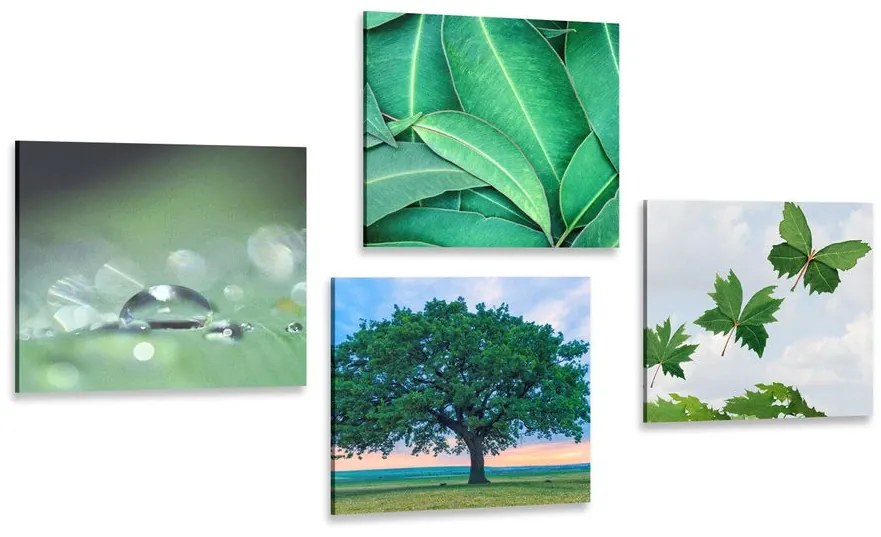 Set obrazů příroda plná zeleně