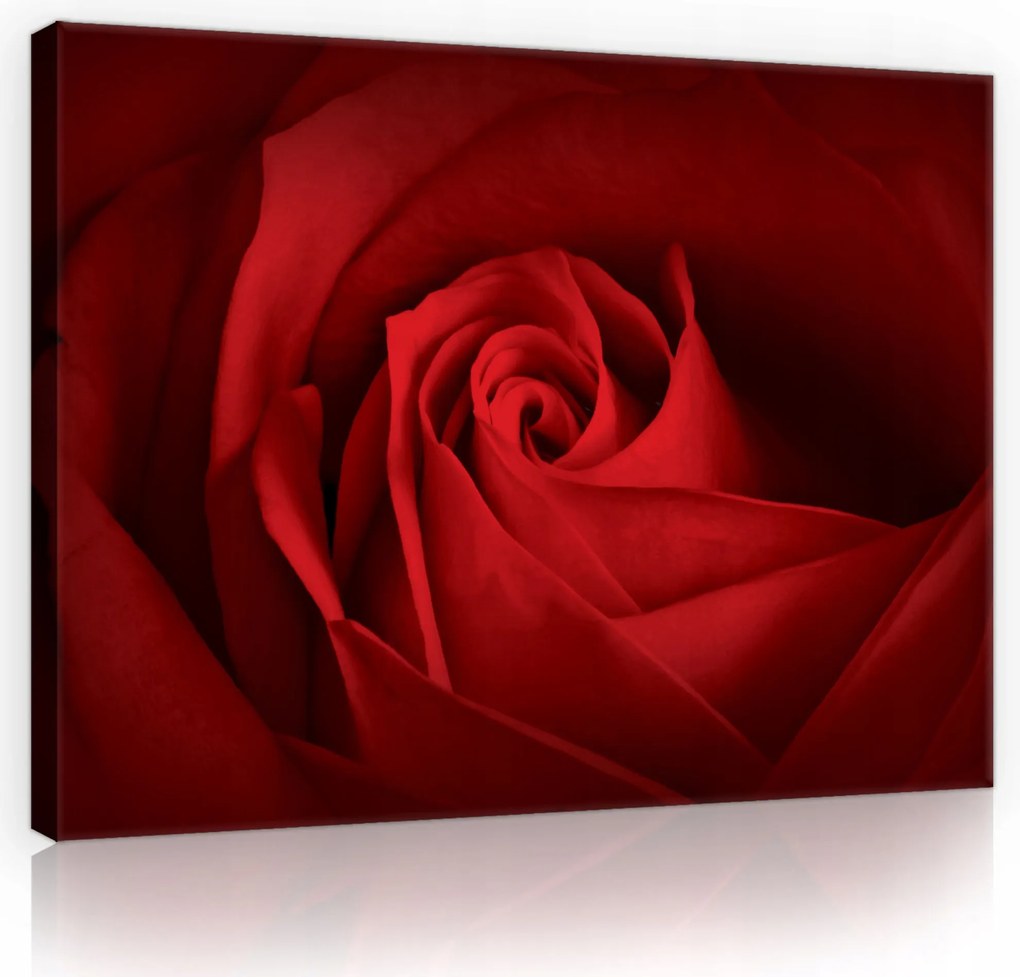 Obraz Květiny Červená Růže Na Plátně Stěna Moderní Ložnice 100x70