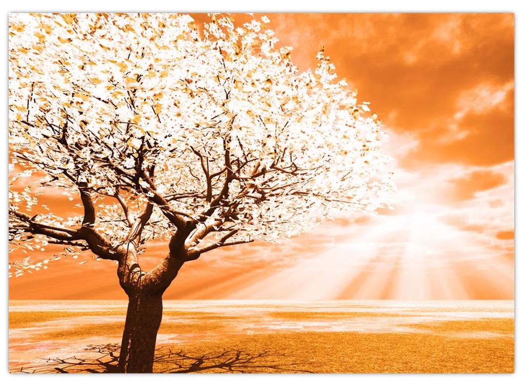Oranžový obraz stromu (70x50 cm)