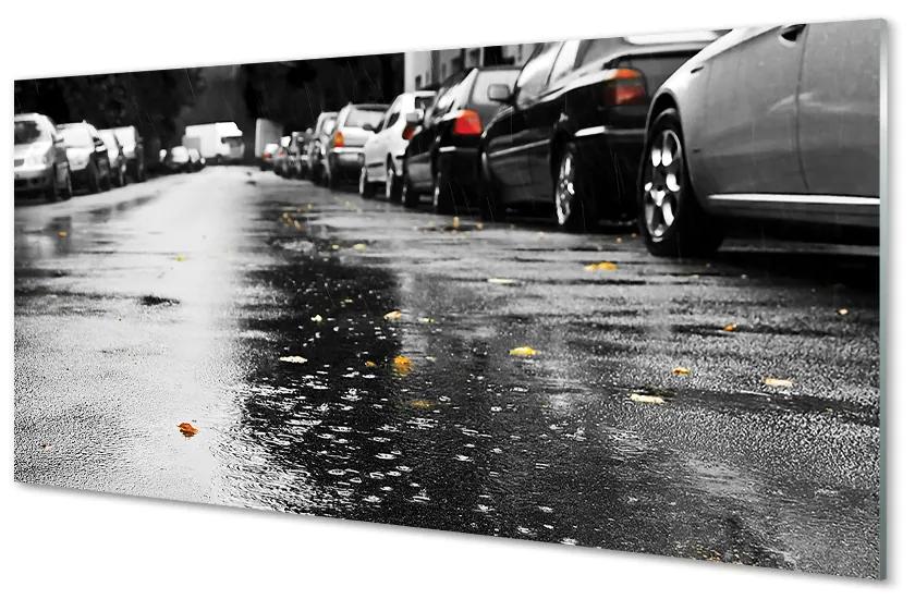 Obraz na skle Car podzimní listí silnice 125x50 cm