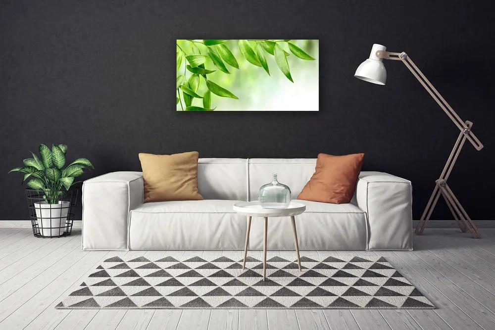 Obraz na plátně Zelené Listy Příroda 120x60 cm