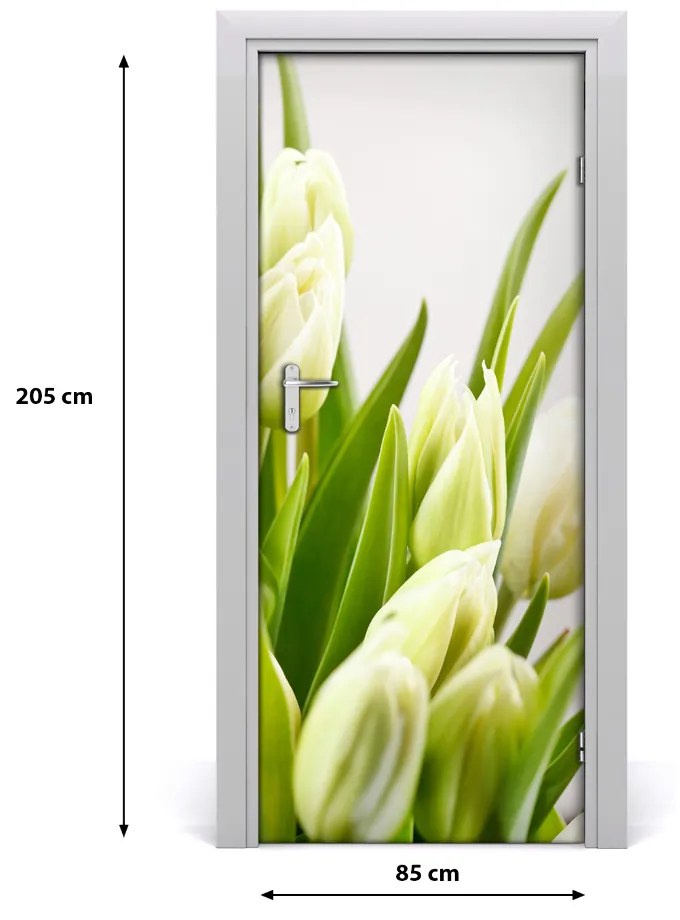 Fototapeta na dveře Bílé tulipány 85x205 cm