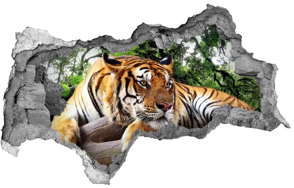 Wallmuralia Díra 3D fototapeta na stěnu Tygr na skále 95x73 cm