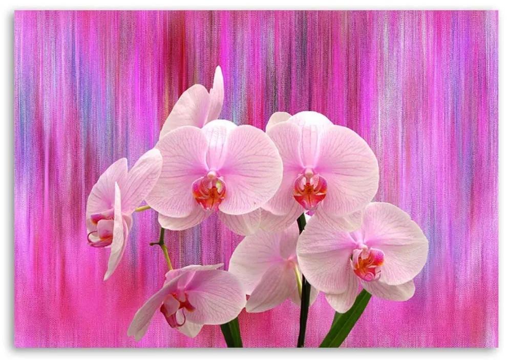 Obraz na plátně Orchidej růžová Přírodní rostliny - 120x80 cm