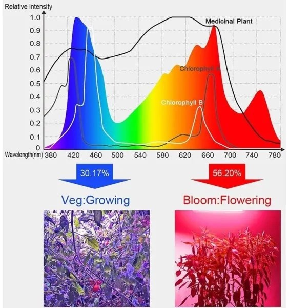 LED Závěsné svítidlo pro pěstování rostlin LED/24W/230V IP44