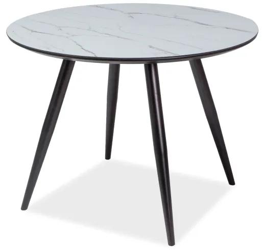 Jídelní stůl Irina (bílá + černá) (pro 4 osoby). 1050328