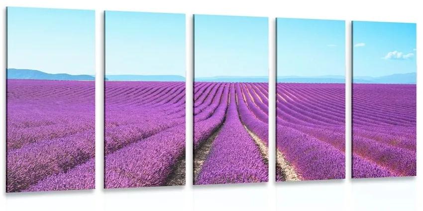 5-dílný obraz nekonečné levandulové pole - 100x50 cm