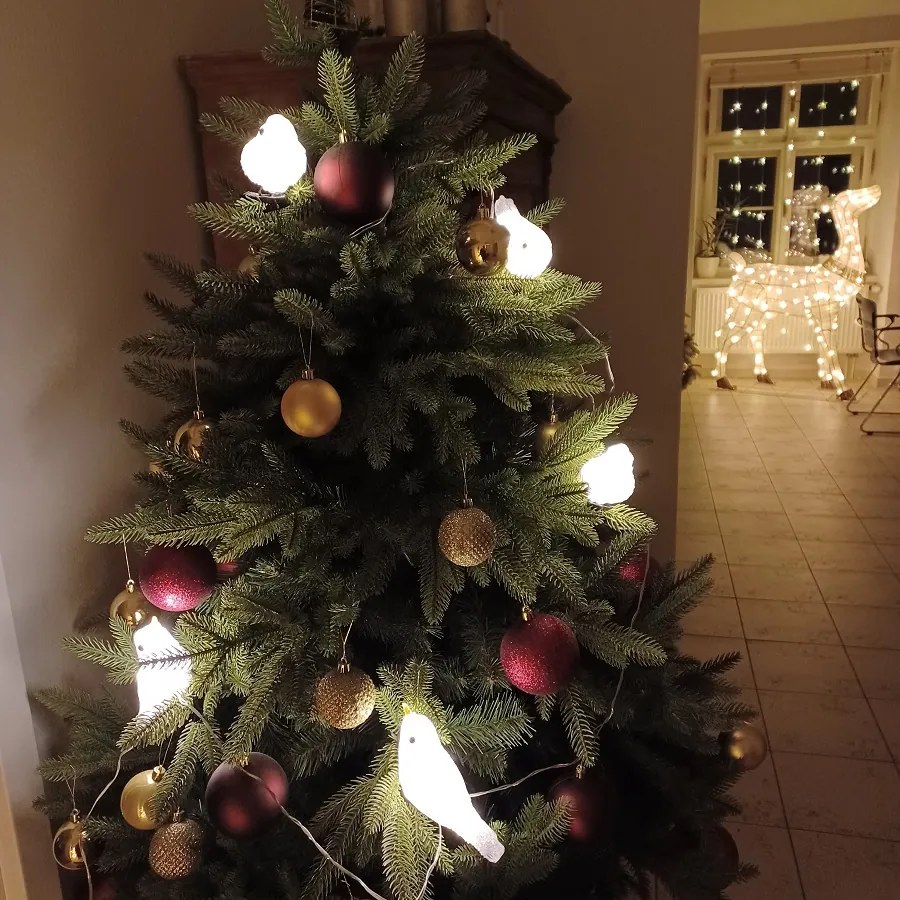 LED svítící ptáčci, akryl, 5 ks, teple bílá