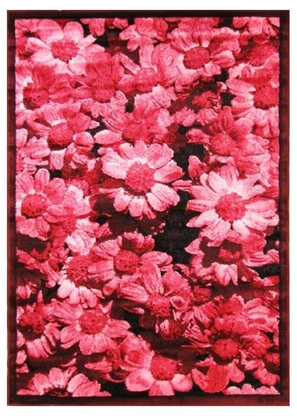 Kusový koberec Aristo červený 120x170, Velikosti 120x170cm