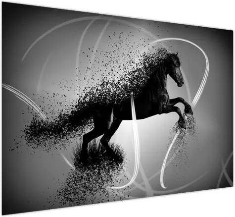 Samolepící fólie Černobílý kůň - Jakub Banas 200x135cm OK3573A_1AL