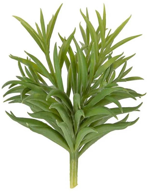 PRESENT TIME Umělá rostlina Succulent