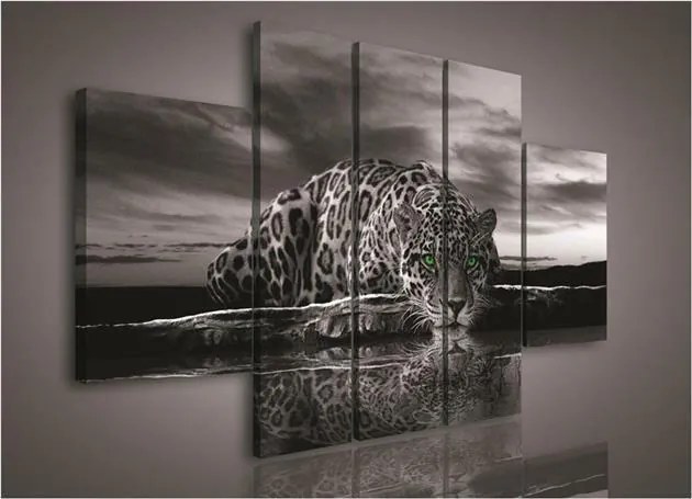 Obraz na plátně Jaguár zelené oči 170 x 100 cm
