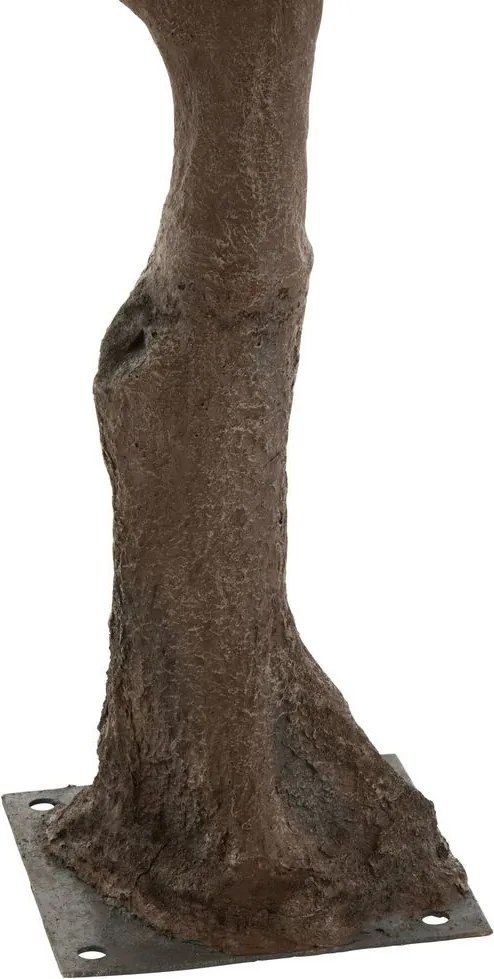 Velkolepý olivovník Olea Tree - 295*295*220 cm