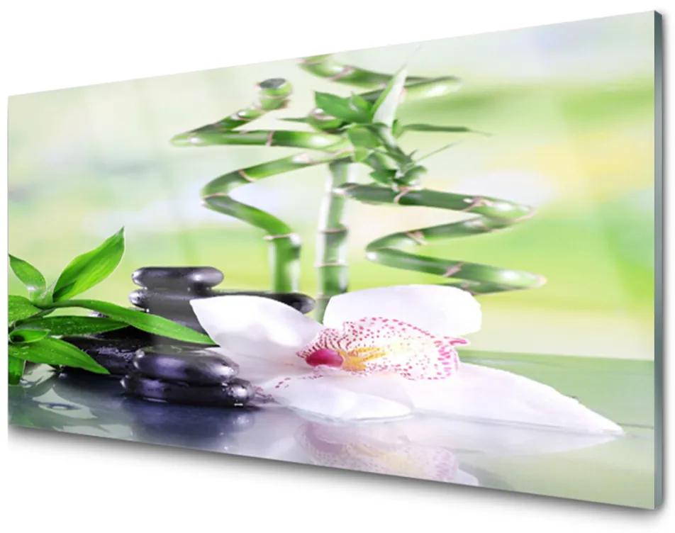 Skleněný obraz Orchidej Bambus Zen Lázně