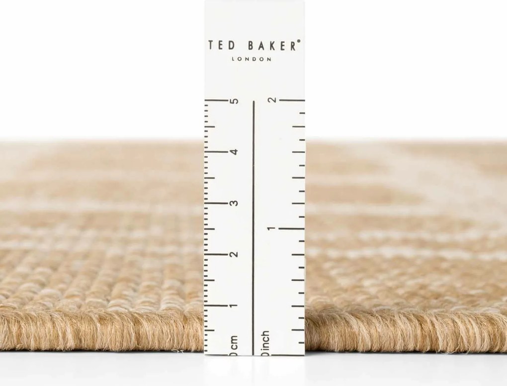 Ted Baker, Kusový koberec Ted Baker Haringey 106384 Natural White, 160x230, béžová, chodba / předsíň