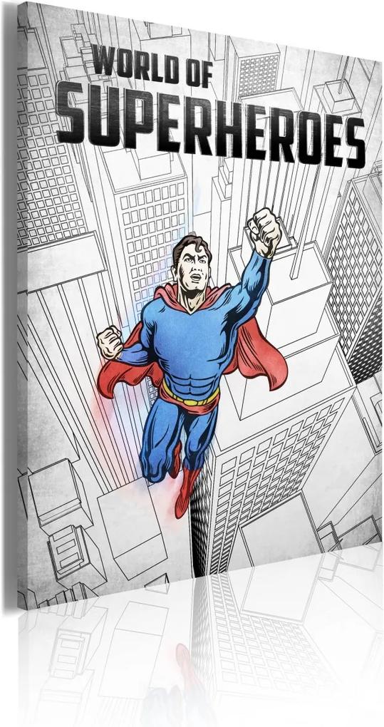 Obraz - World of superheroes - 50x70