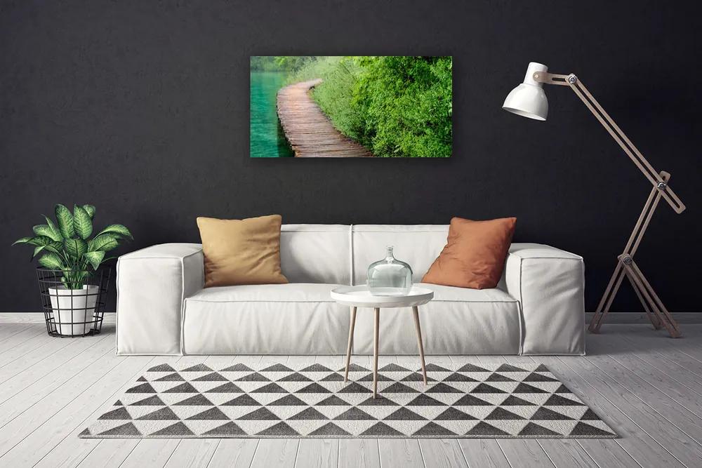 Obraz na plátně Most Stromy Architektura 100x50 cm