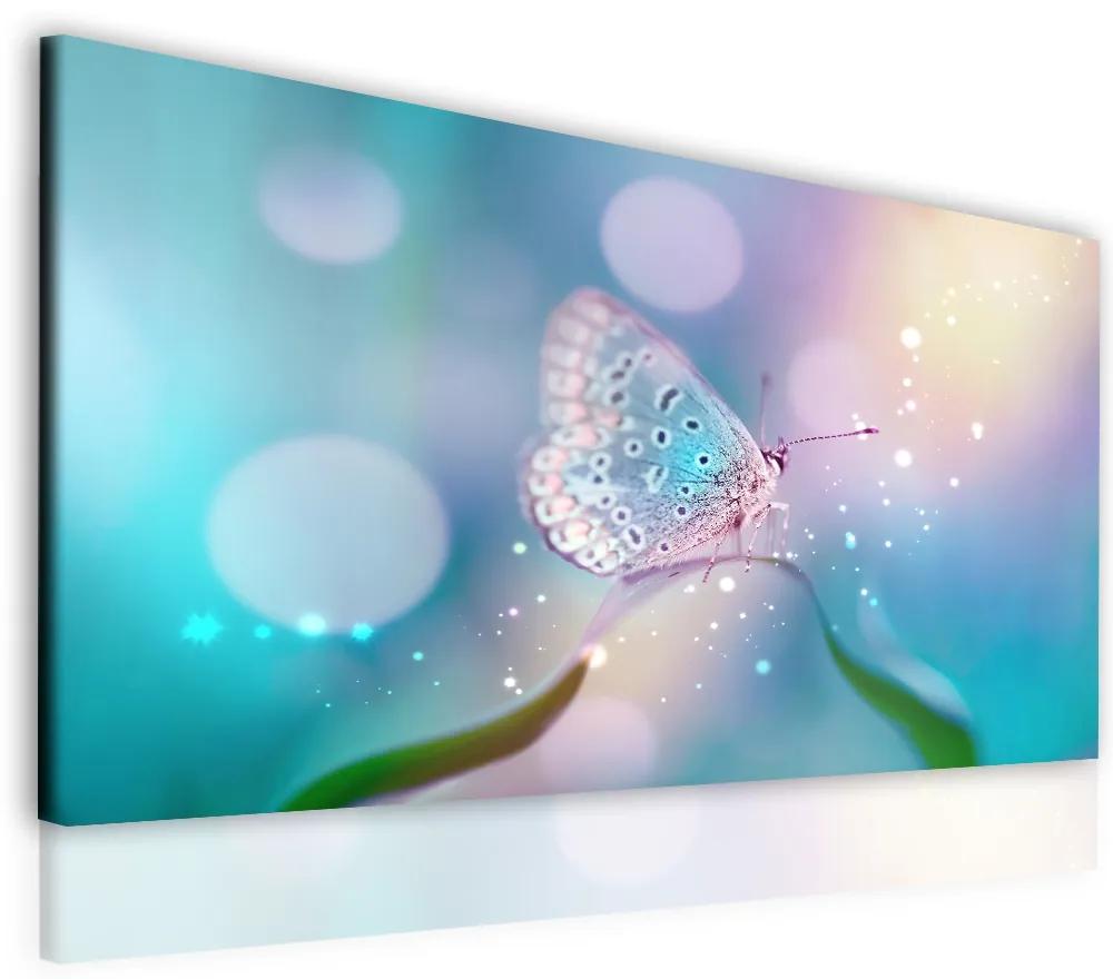Malvis ® Obraz na plátně Motýl Velikost: 90x60 cm