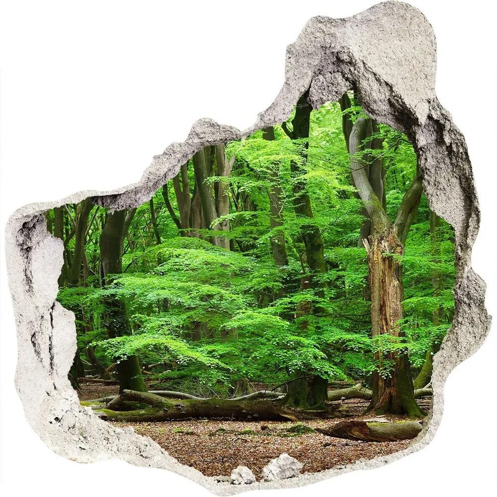 Wallmuralia Samolepící nálepka Nizozmský les 75x75 cm