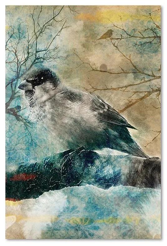 Gario Obraz na plátně Zimní pták Rozměry: 40 x 60 cm