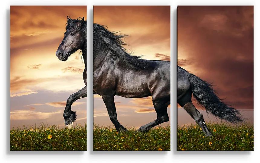 Sablio Obraz - 3-dílný Friský kůň - 120x80 cm
