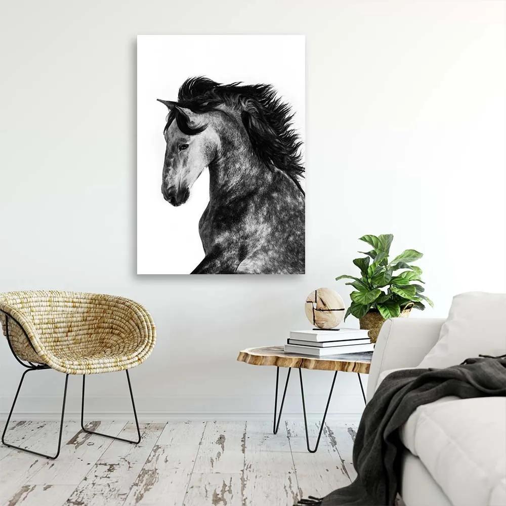 Gario Obraz na plátně Divoký kůň Rozměry: 40 x 60 cm