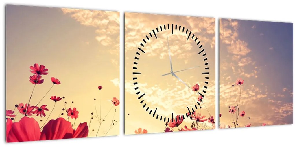 Obraz - Louka s květinami (s hodinami) (90x30 cm)