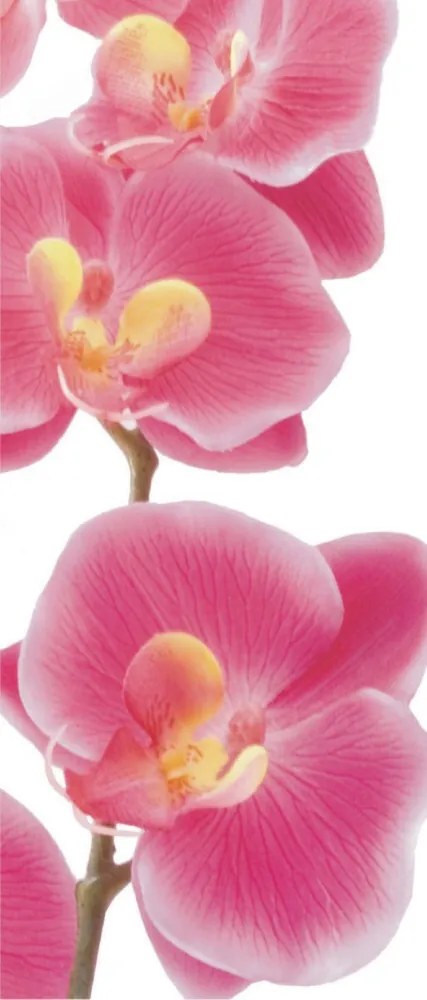 AG Design, vliesová obrazová tapeta Orchidej FTNV2826