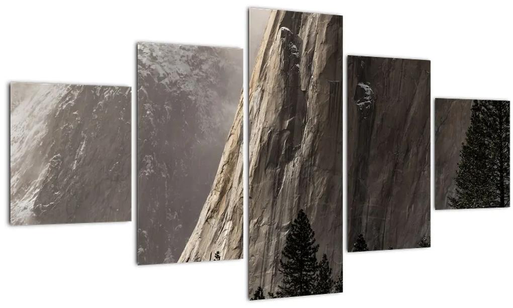 Obraz z údolí Yosemite národní parku, USA (125x70 cm)