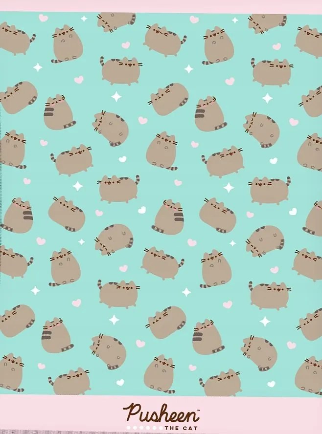 Mátová Velká Deka Pusheen The Cat Originál Licence