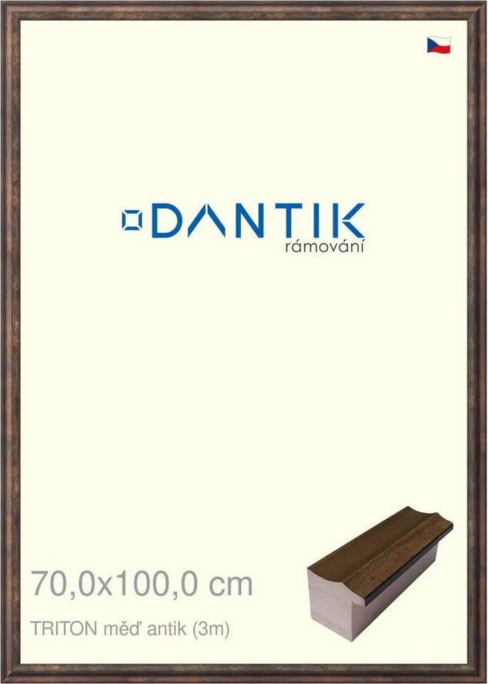 DANTIK rámeček 70x100 | TRITON měď antik (Plexi Čiré)