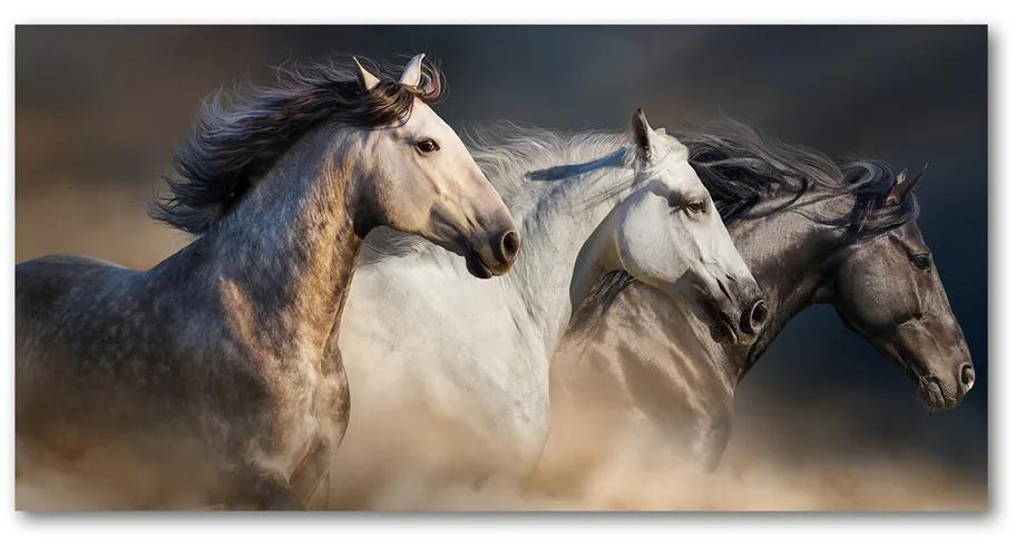 Wallmuralia Fotoobraz na skle Koně ve cvalu 100x50 cm