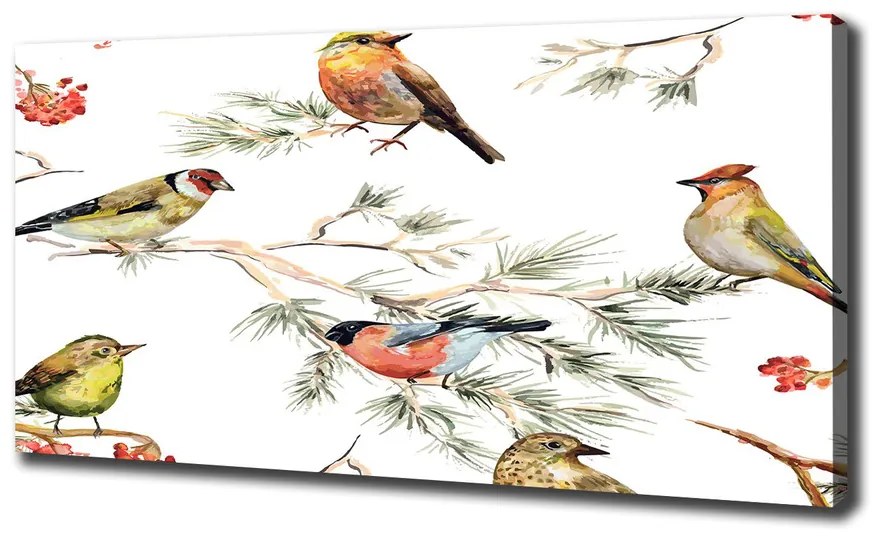 Wallmuralia Foto obraz na plátně Lesní ptáci rostliny 140x70 cm