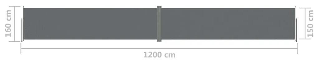 Zatahovací boční markýza antracitová 160 x 1 200 cm,  318068