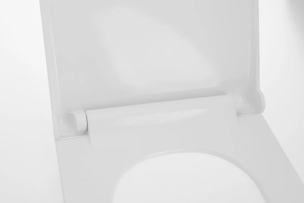 Sapho Sapho, AVVA Slim WC sedátko s pomalým zavíráním, bílá/chrom, 100787