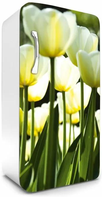 Fototapeta na lednici White Tulips 65 x 120 cm FR120-026