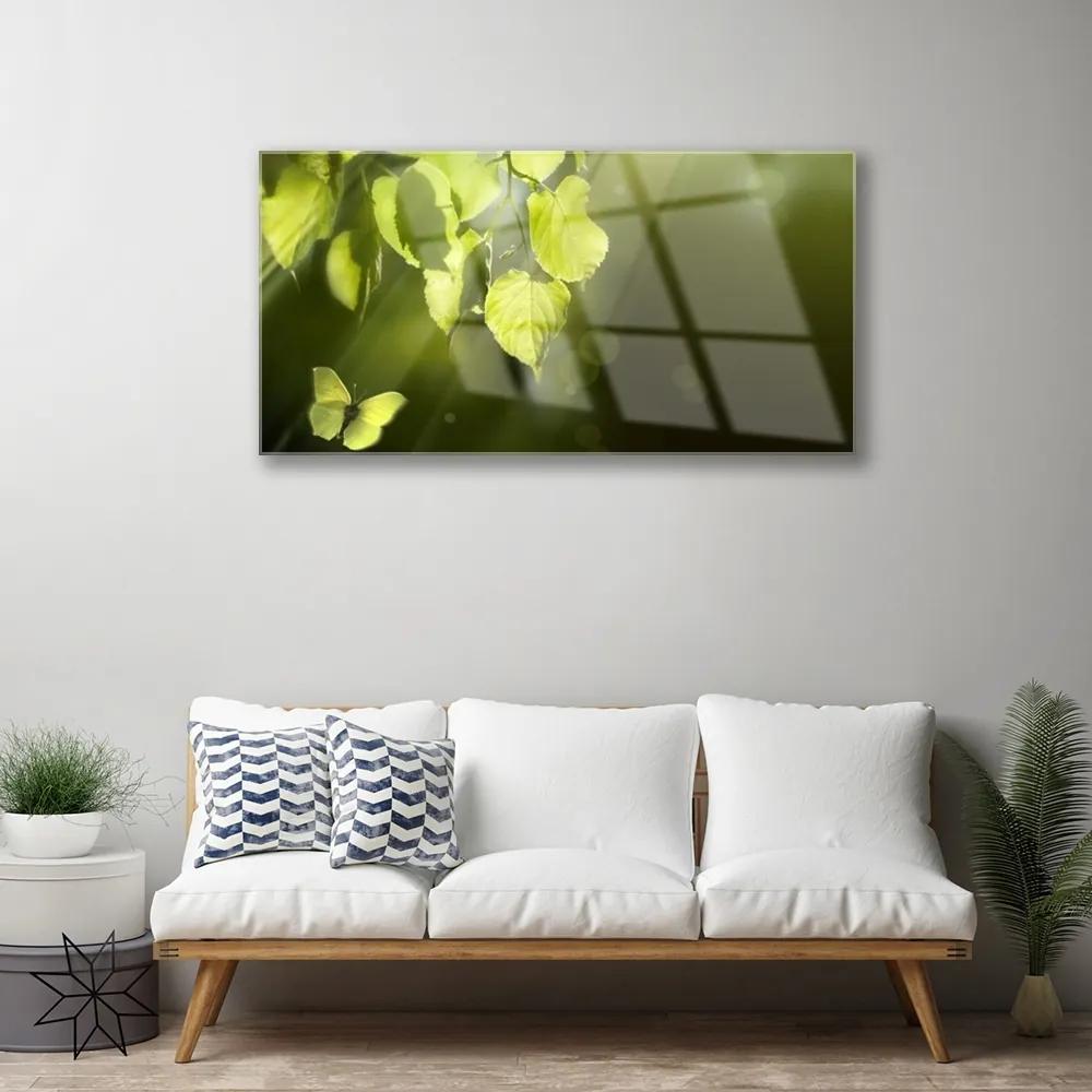Obraz na skle Listy Slunce Paprsky 140x70 cm