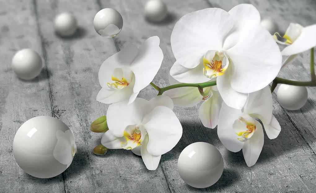3D Fototapeta Orchidej vlies 312 x 219 cm