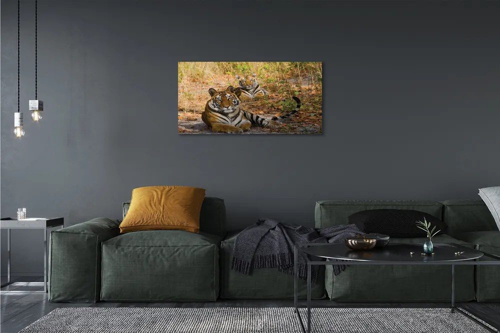 Obrazy na plátně Tigers 140x70 cm
