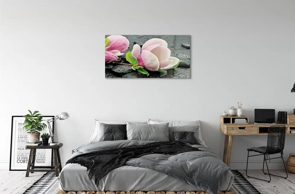 Obraz na skle Magnolia kameny 125x50 cm