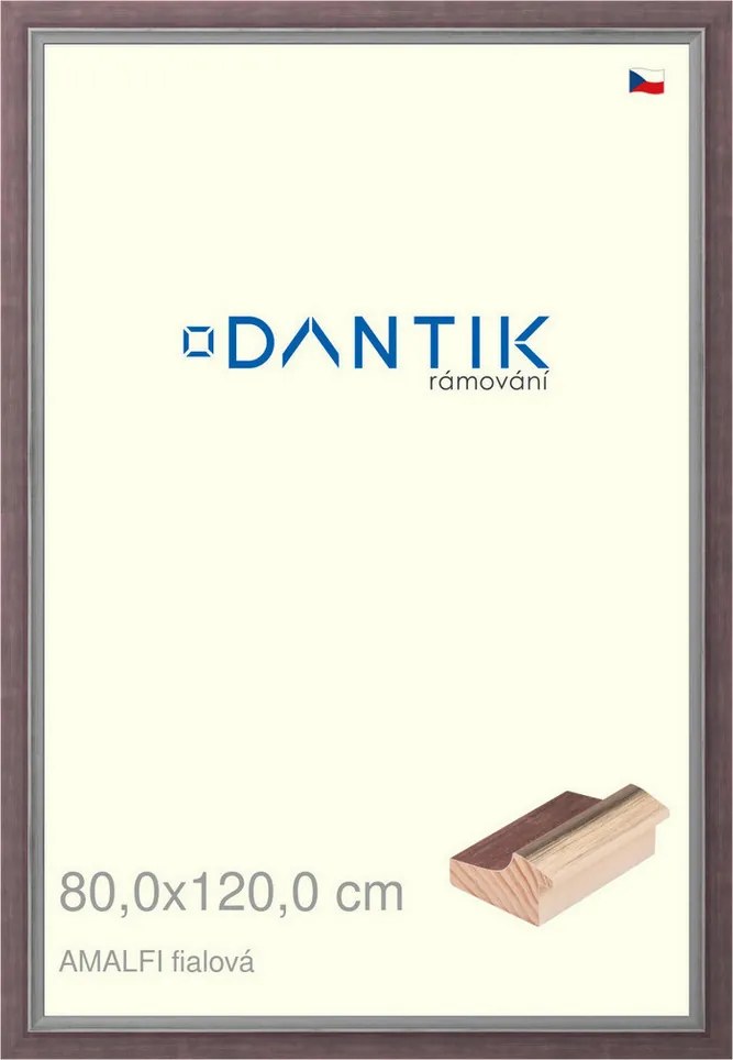 DANTIK rámeček 80x120 | AMALFI fialová (Plexi Čiré)