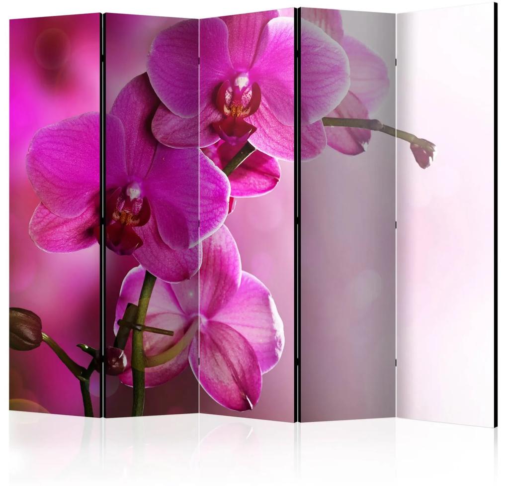 Paraván - Pink orchid II [Room Dividers] 225x172