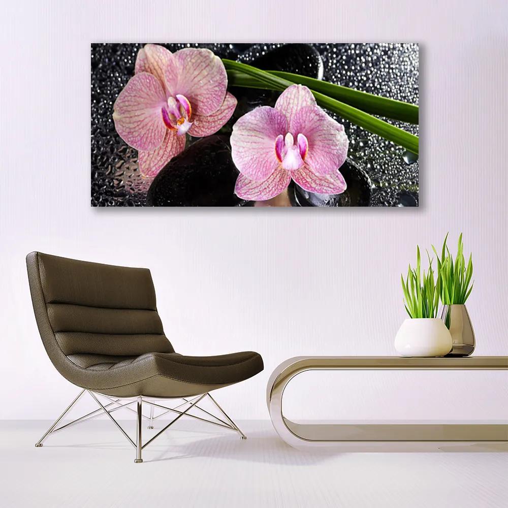 Plexisklo-obraz Květiny Orchidej Kameny Zen 120x60 cm